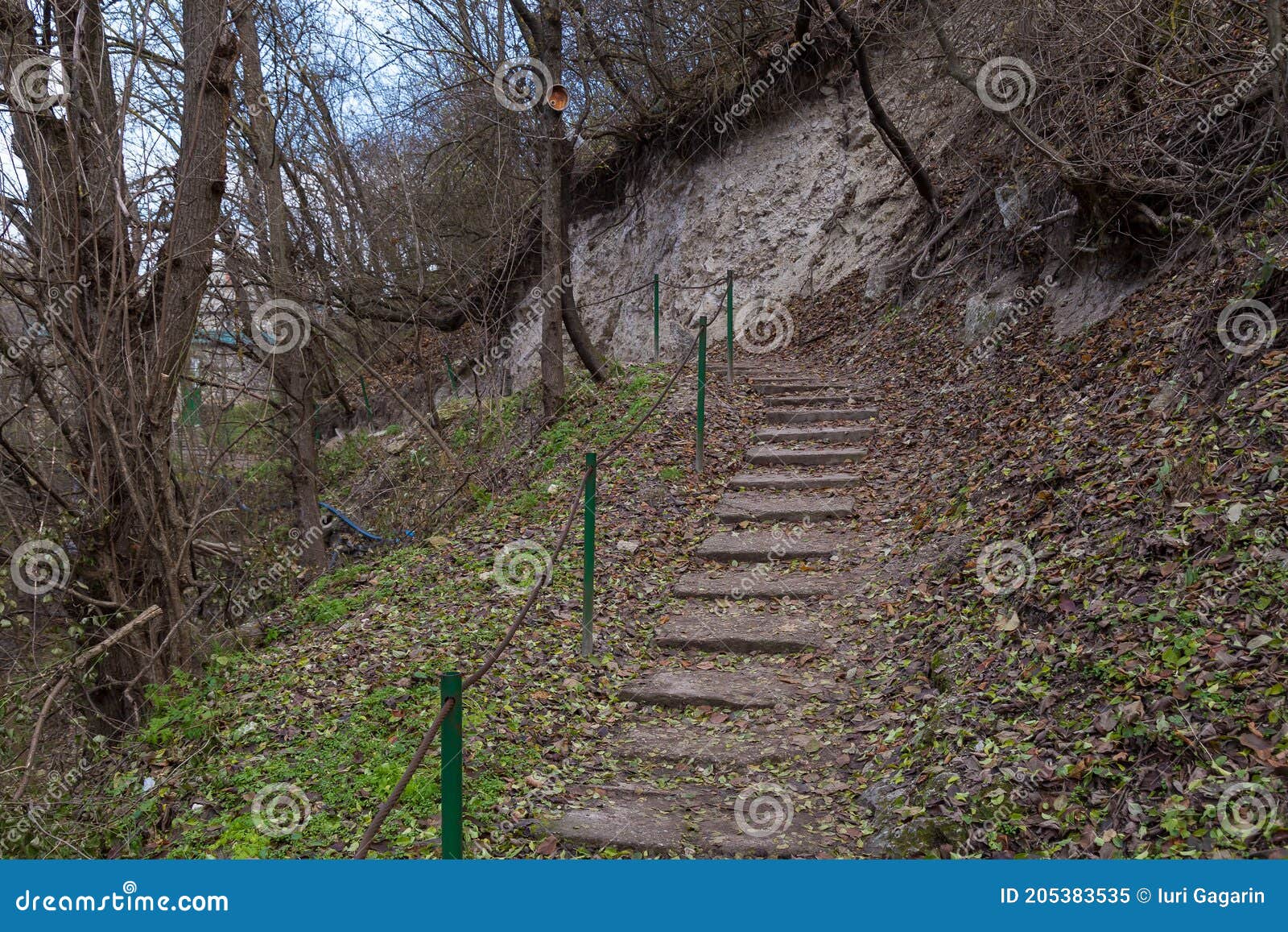 Concrete Steps for a Hiking Trail in a Wild Forest. Selective Focus ...
