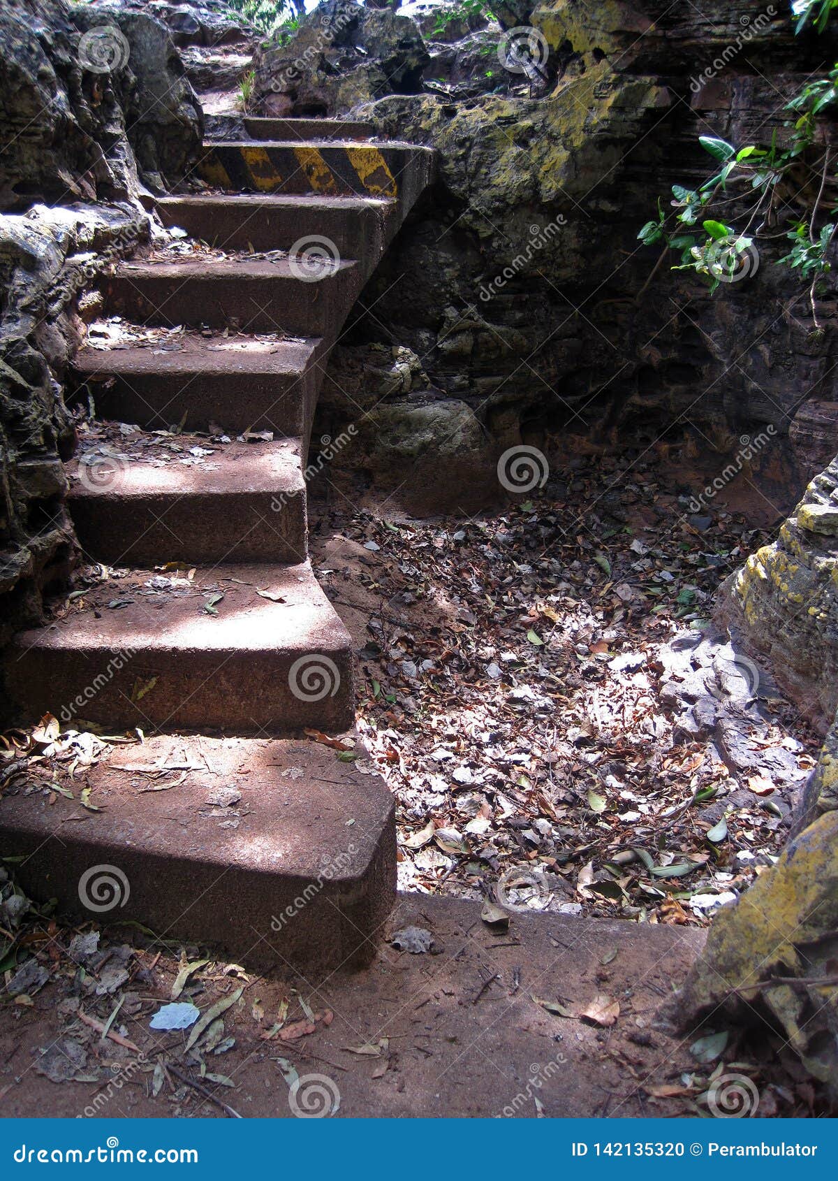 CONCRETE STEPS LEADING TO HIGHER GROUND Stock Photo - Image of light ...