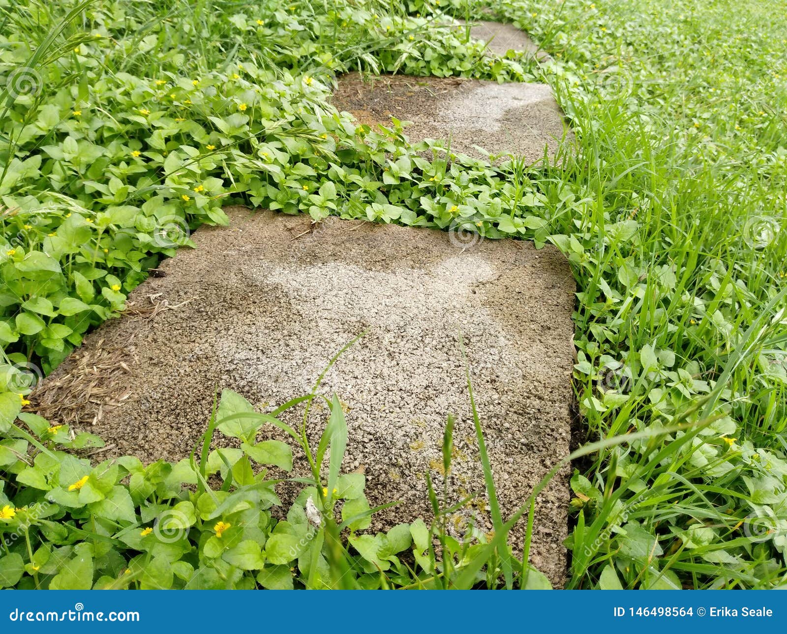 Concrete Stone Pathway in Grass Stock Photo - Image of grass, hidden ...