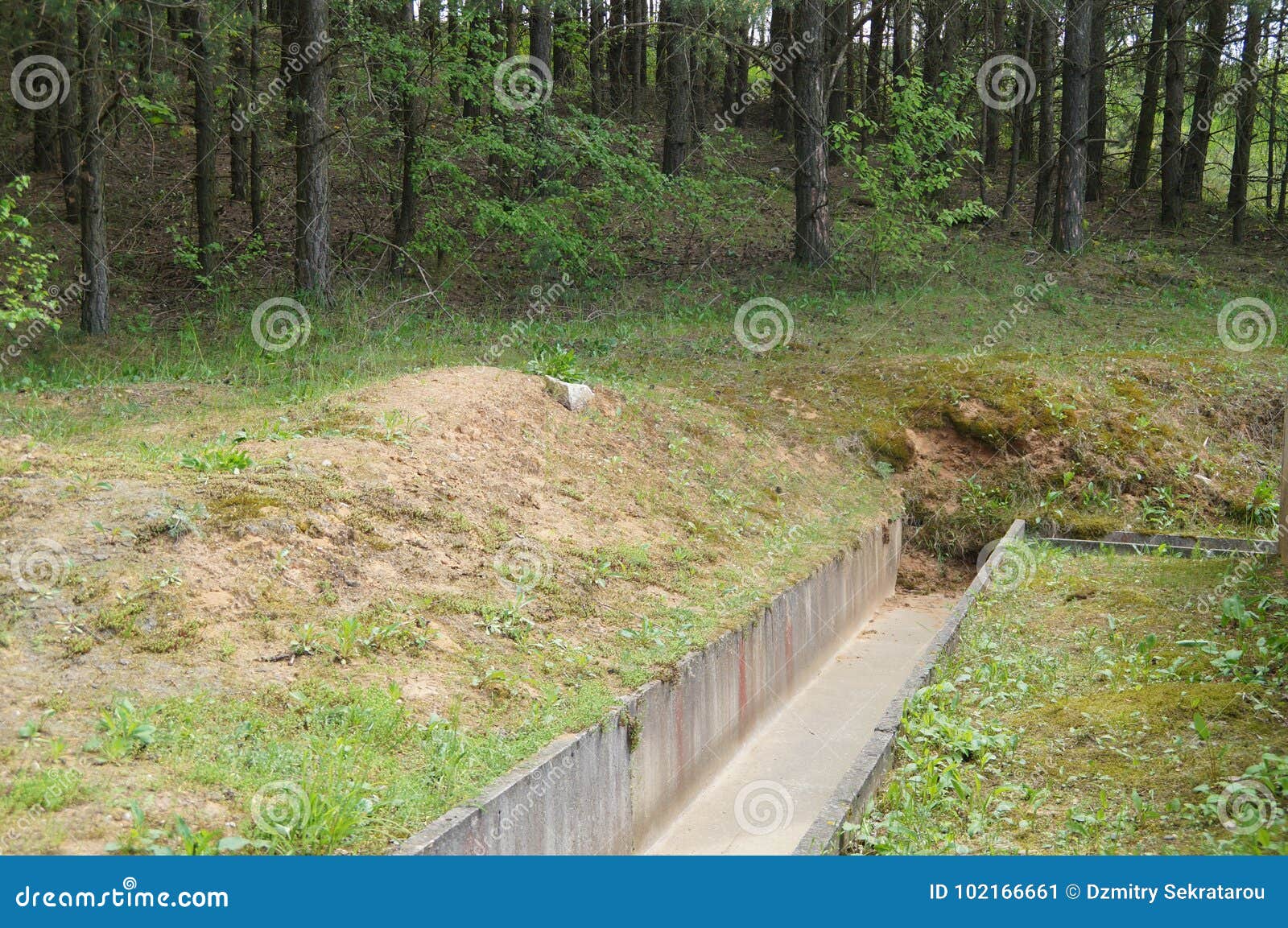 Concrete Storm Channel Sewage System Stock Image - Image of forest ...