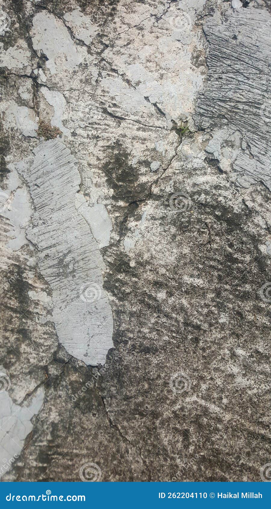 Concrete Street Cement Texture Background Stock Photo - Image of ...