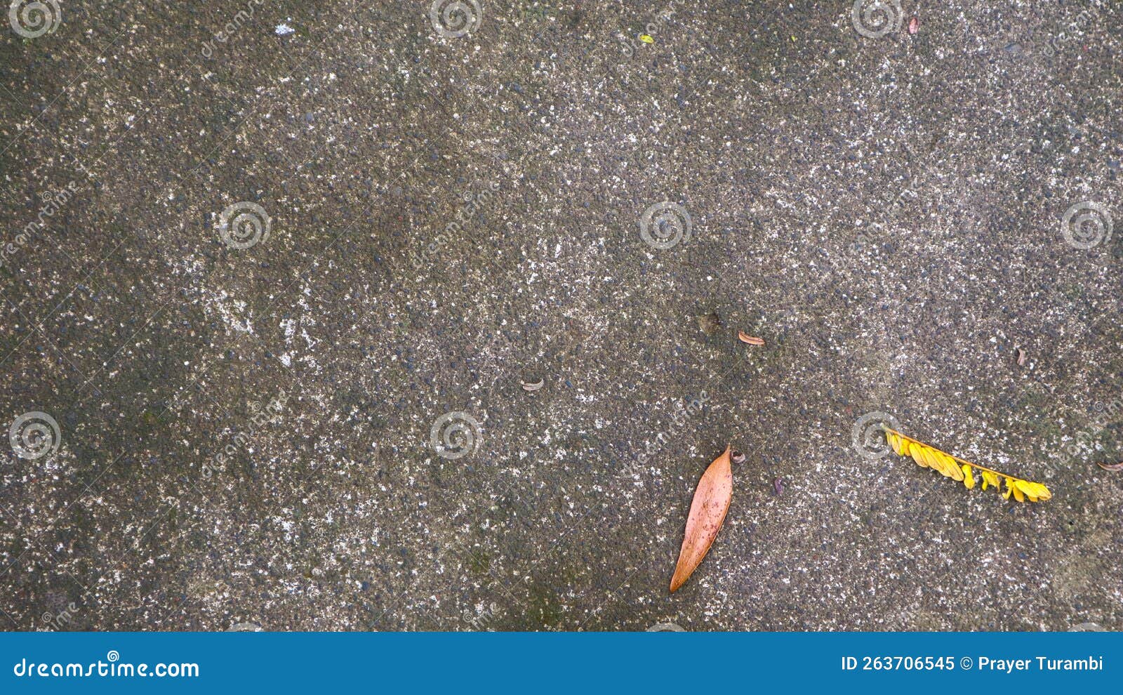Concrete Street Texture with Dry Leaves Stock Image - Image of ...