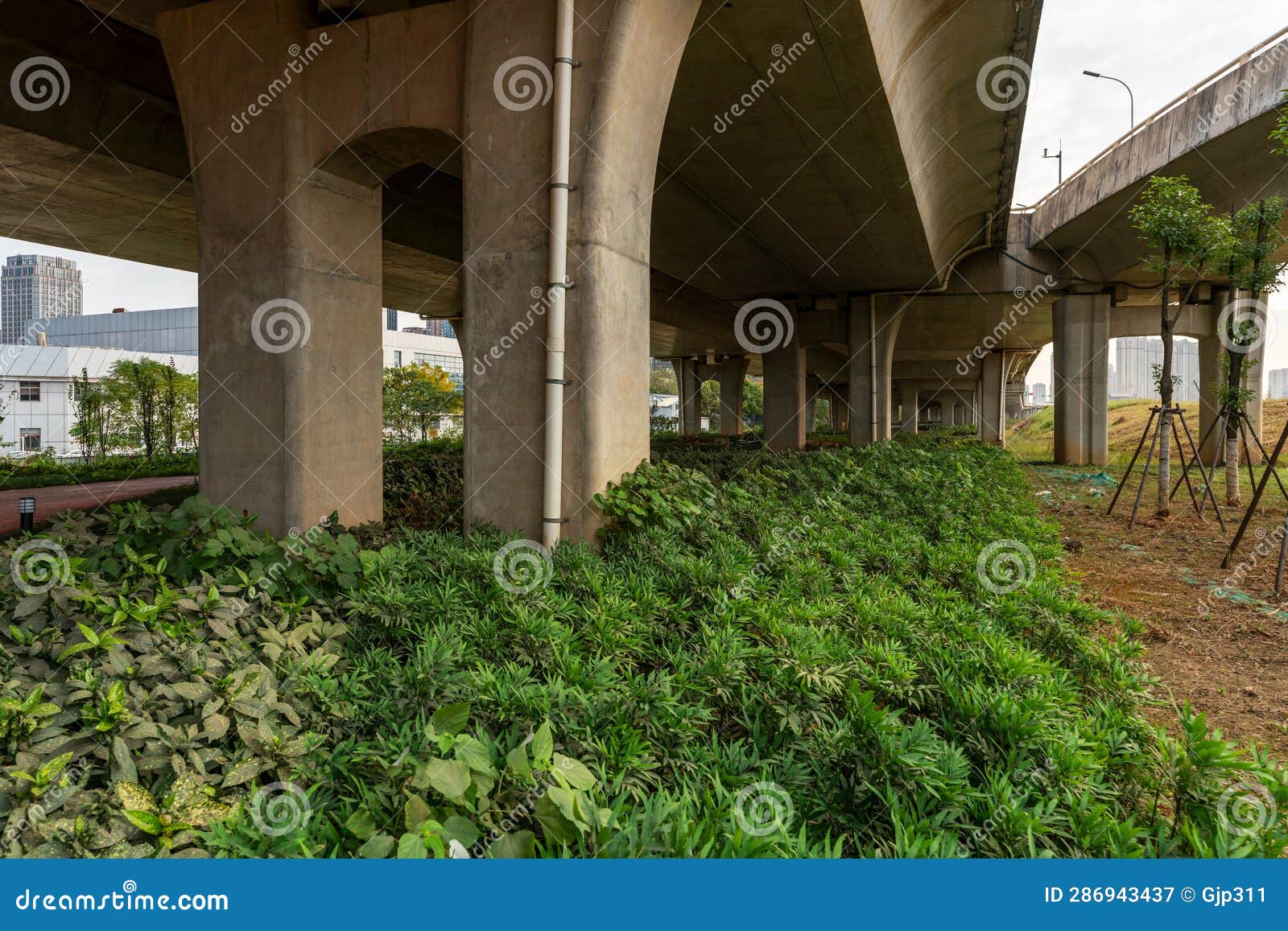 Concrete Structure and Asphalt Road Space Under the Overpass Stock ...