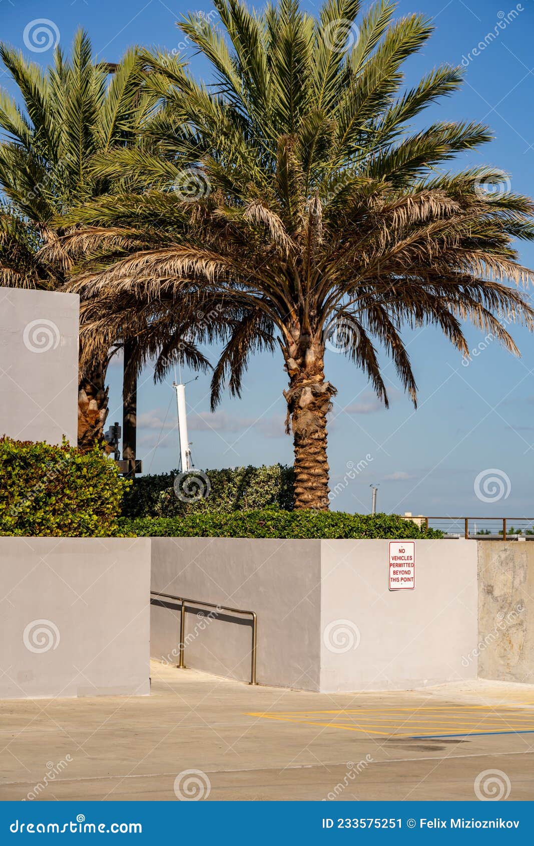 Concrete Structure with Palm Trees Stock Image - Image of structure ...