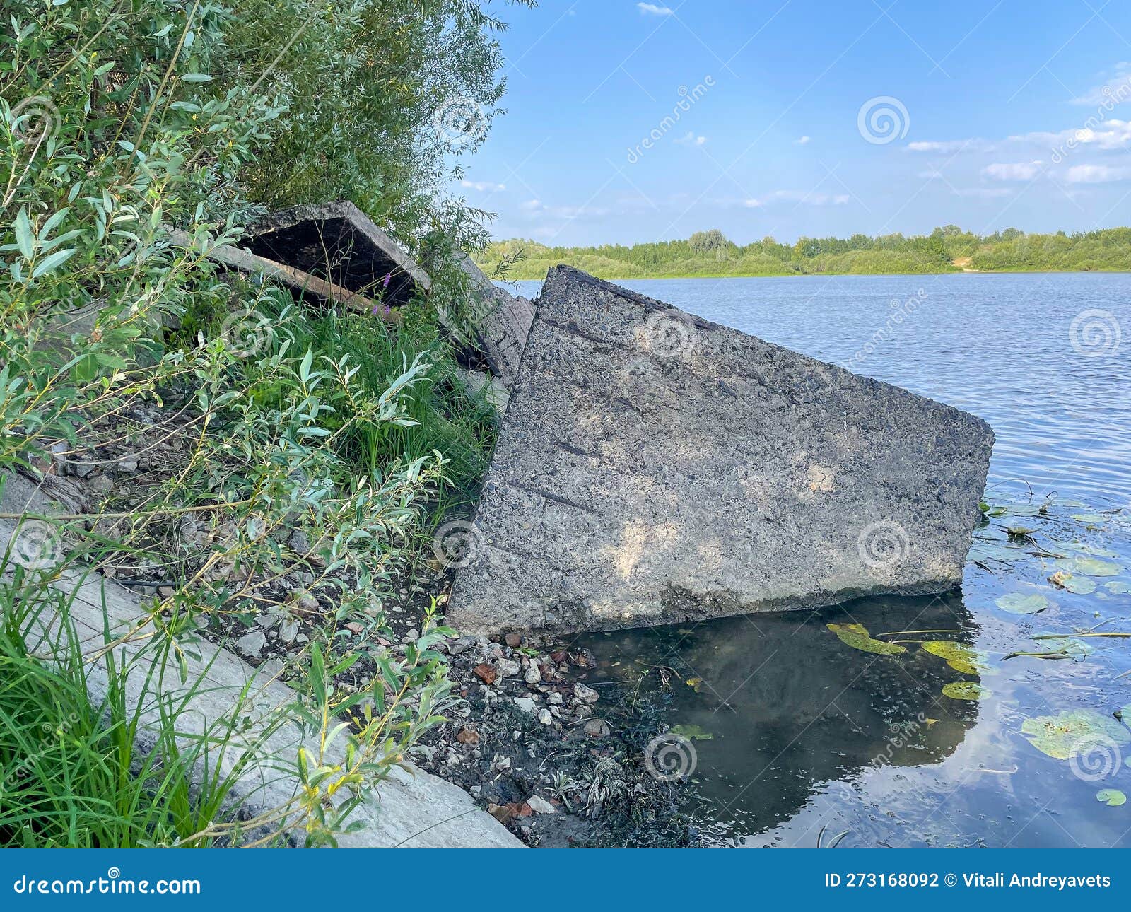 Concrete Structure in the Water Near the River Bank in Summer Stock ...