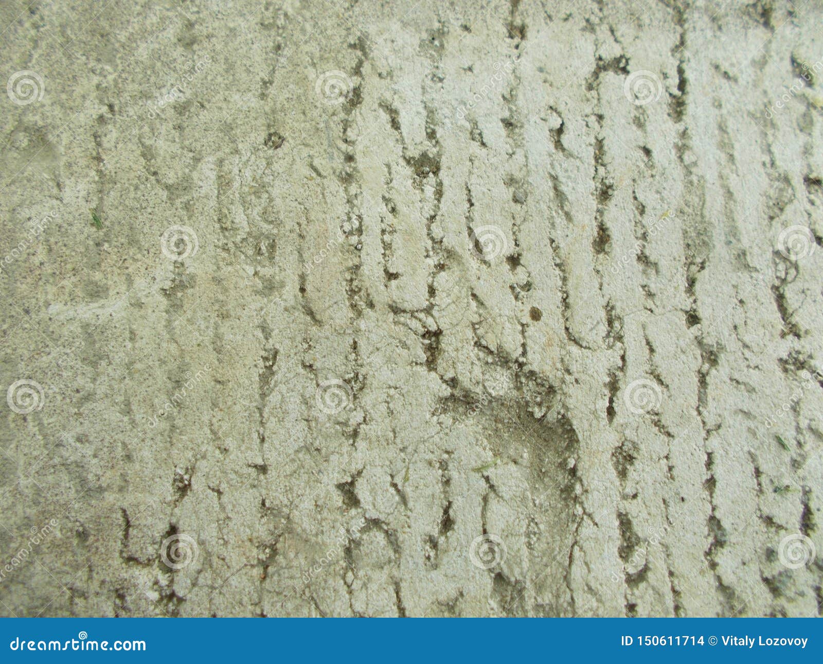 Concrete Surface. Abstract Background for Your Design Stock Photo ...
