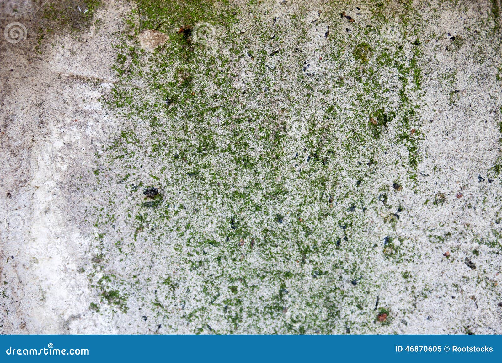 Concrete Surface with Green Moss and Rich and Various Texture Stock ...