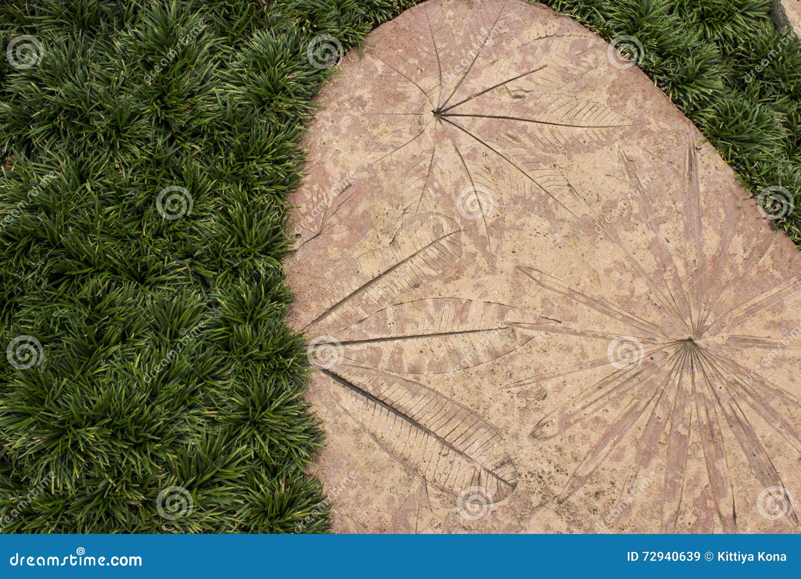 Concrete Texture or Background with Leaf Pattern Stock Illustration ...