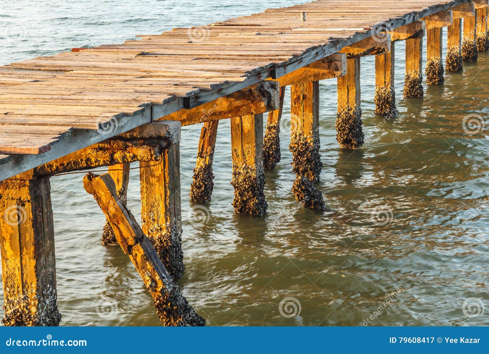 Concrete Texture with Sea Shell Stock Image - Image of boardwalk, ocean ...