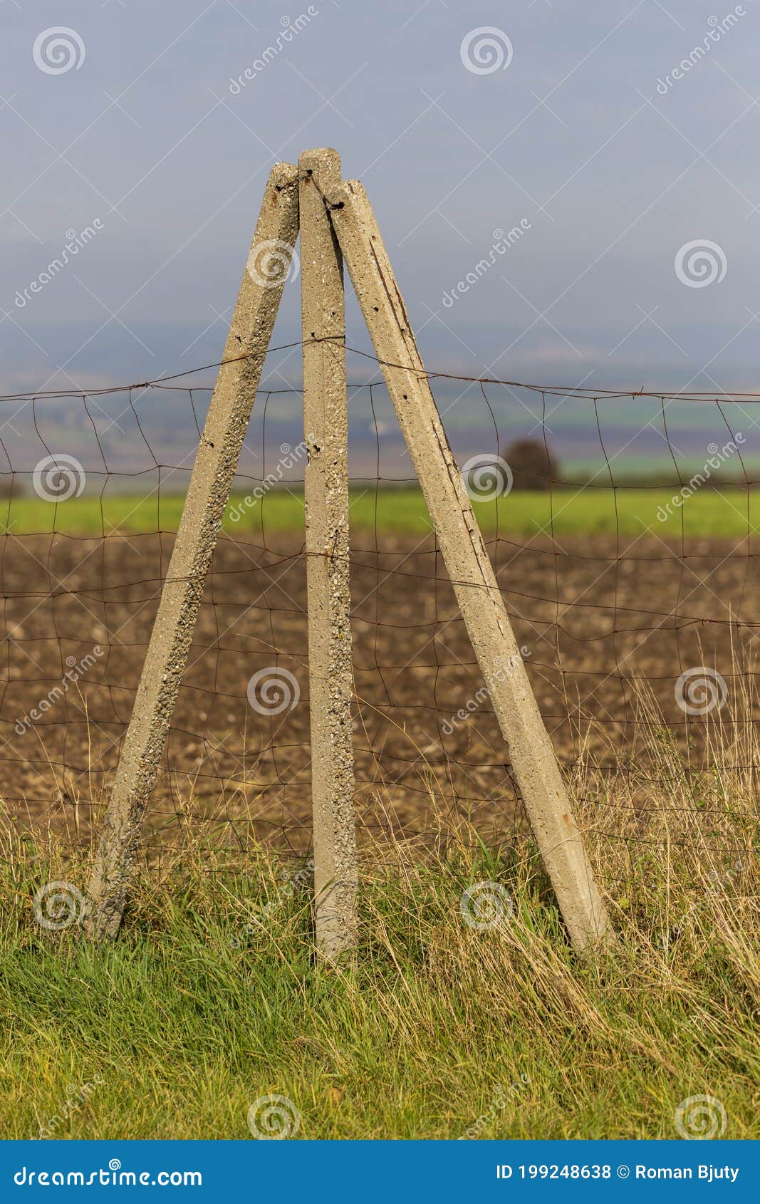 Concrete Thin Posts in the Field between Which There is a Tensioned ...