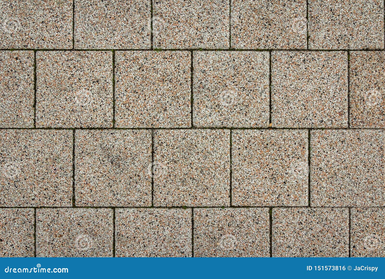 Footpath Tiles Texture