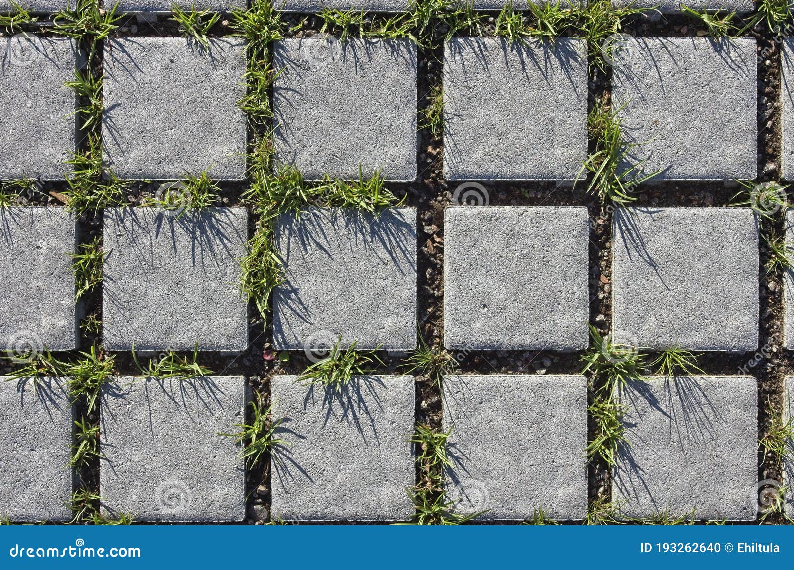 Concrete tiles on ground stock photo. Image of growth - 193262640