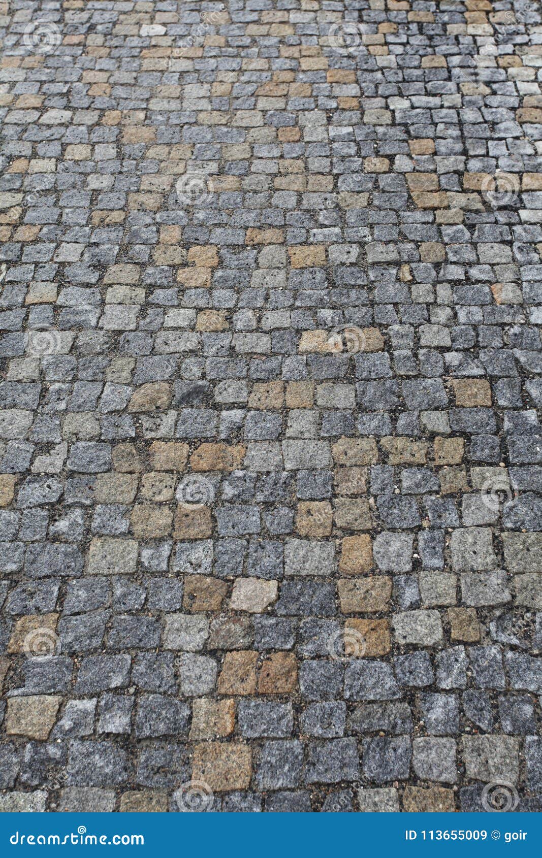 Concrete tiles path stock image. Image of construction - 113655009
