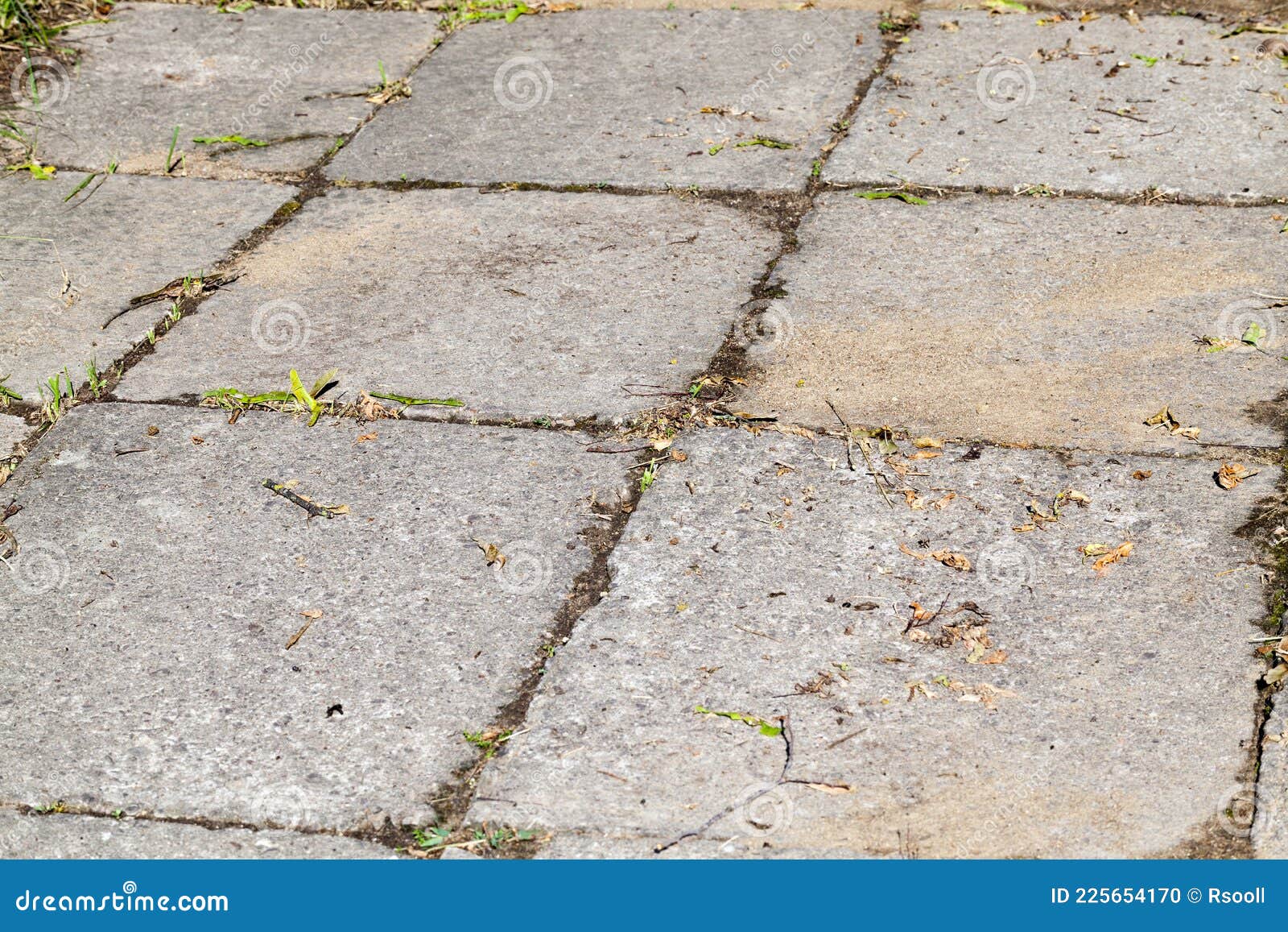 Concrete Tiles on the Pedestrian Path Stock Photo - Image of pedestrian ...