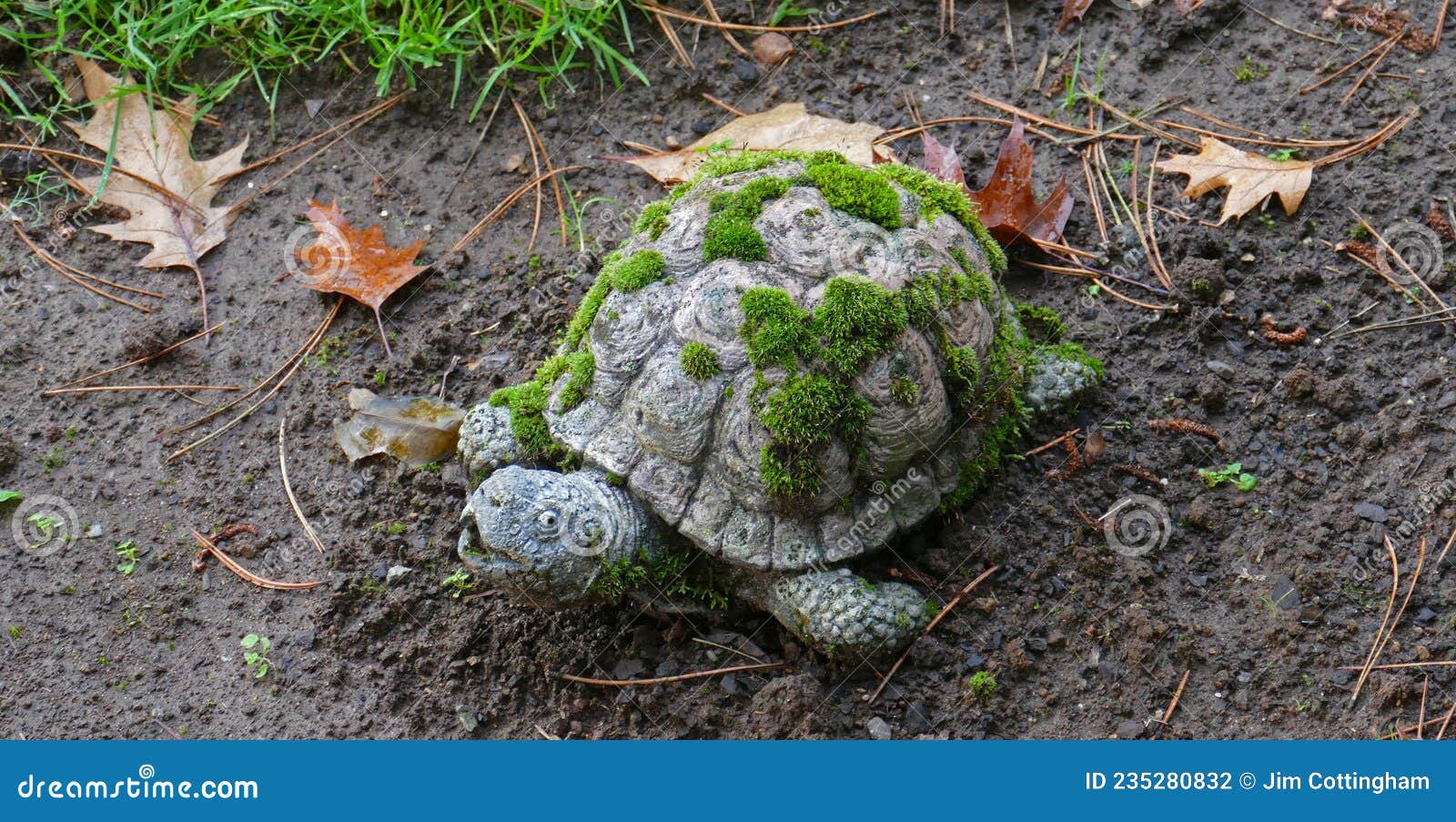 Garden Tortoise with Coat of Moss Stock Photo - Image of decoration ...