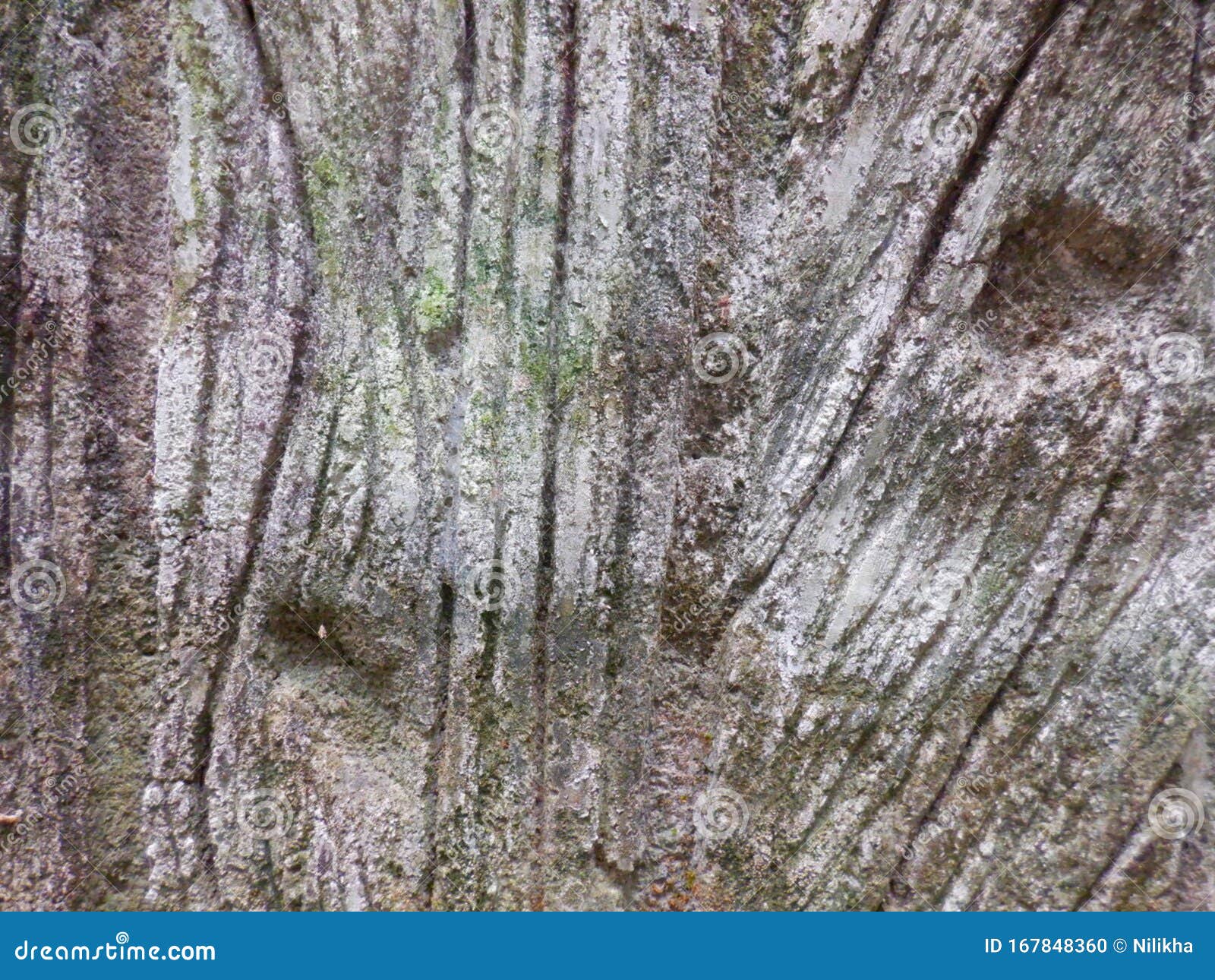 Concrete with Tree Bark Design Stock Photo - Image of closeup, concrete ...