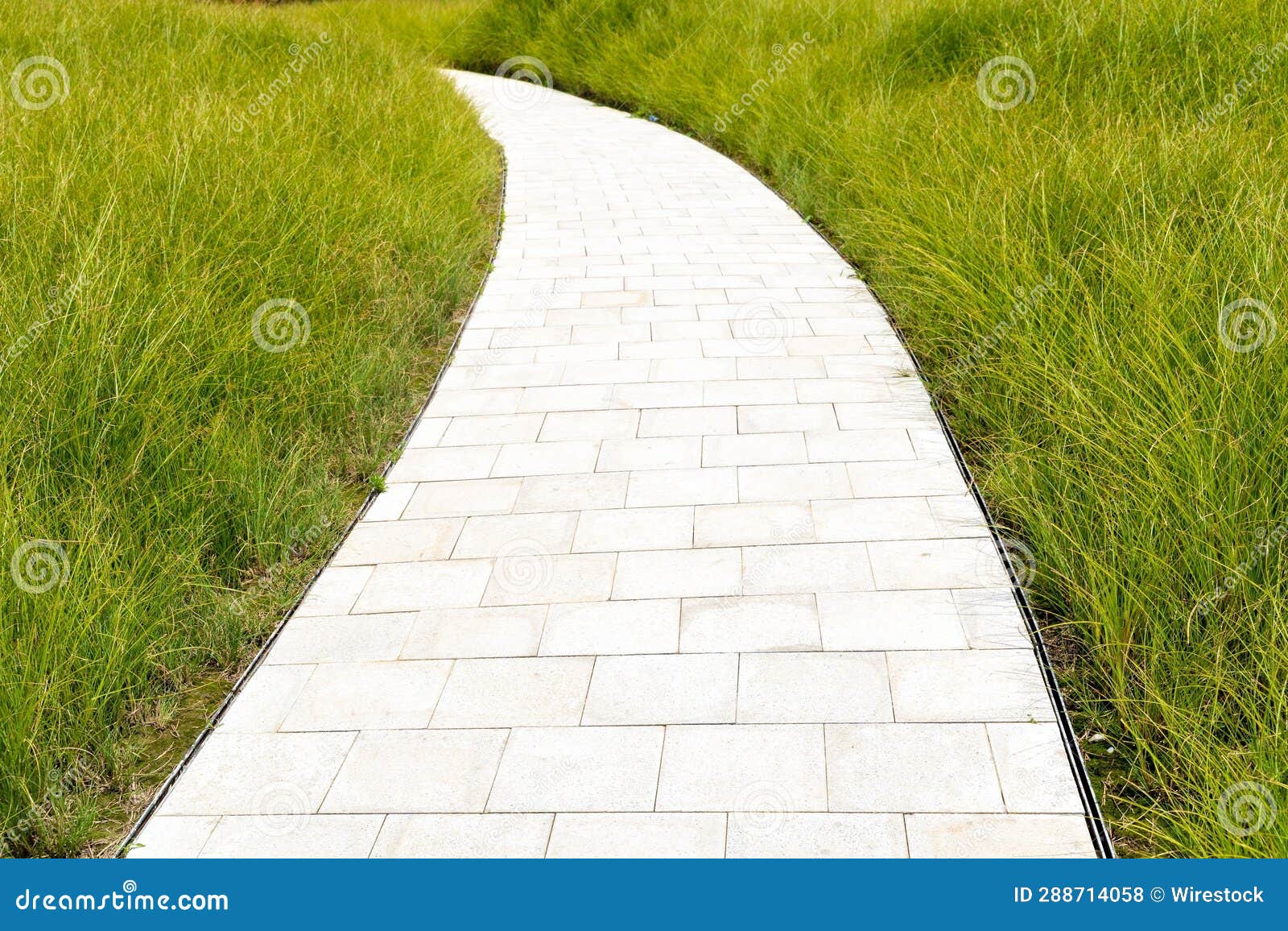 Concrete Walk Pathway on a Green Grass Stock Illustration ...