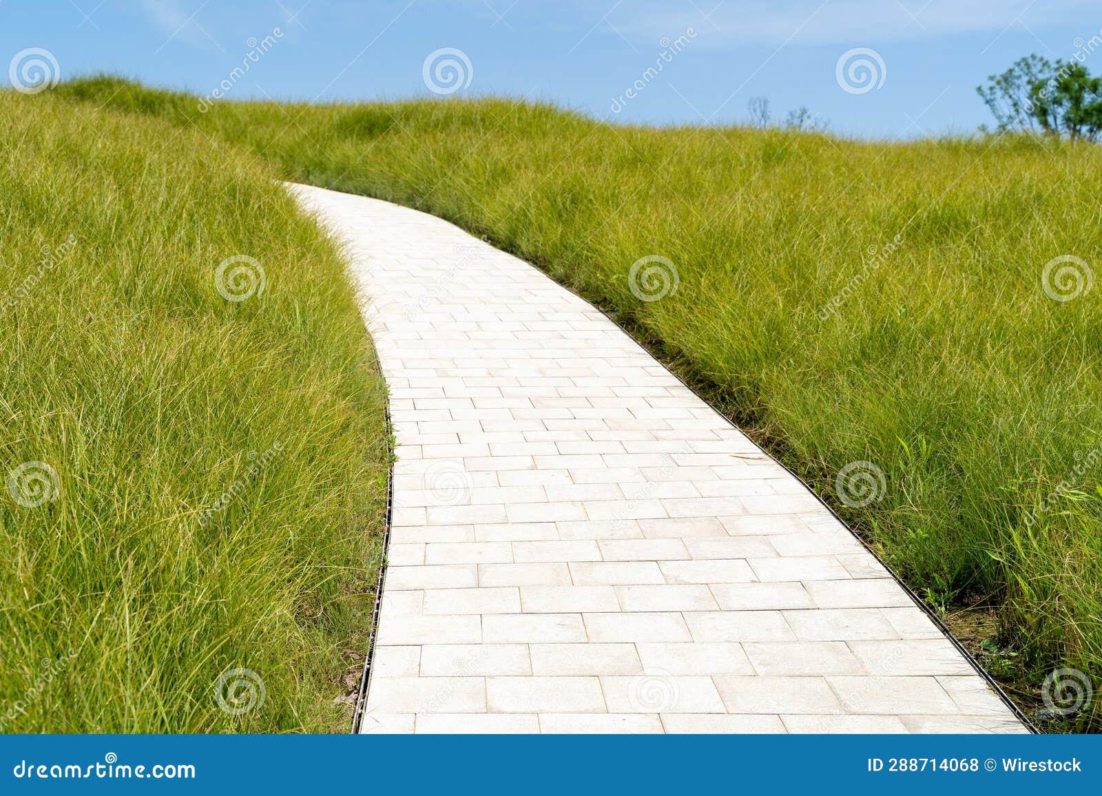 Concrete Walk Pathway on a Green Grass Stock Illustration ...