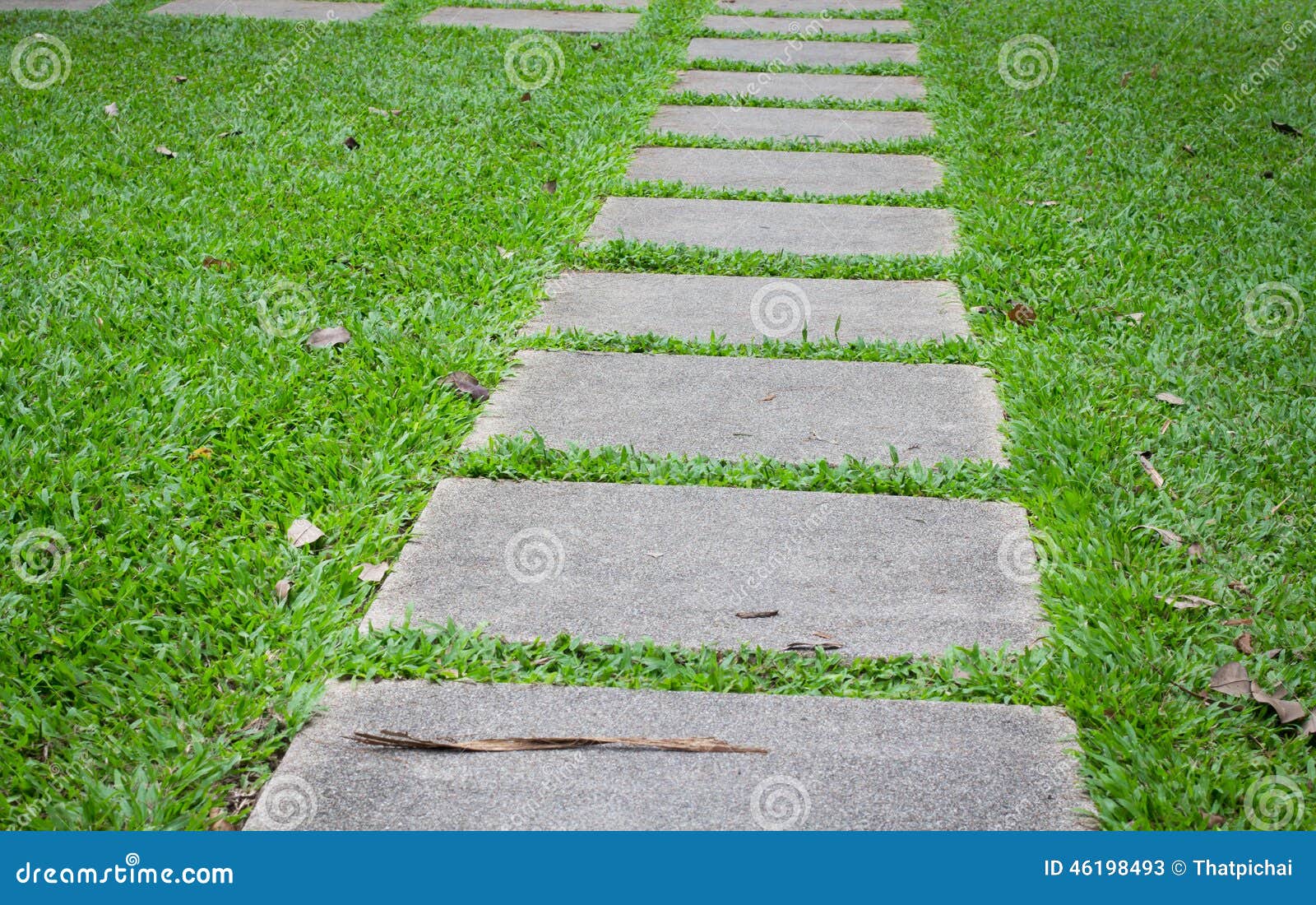 Concrete Walking Trail In A Nature Park Royalty-Free Stock Photo ...