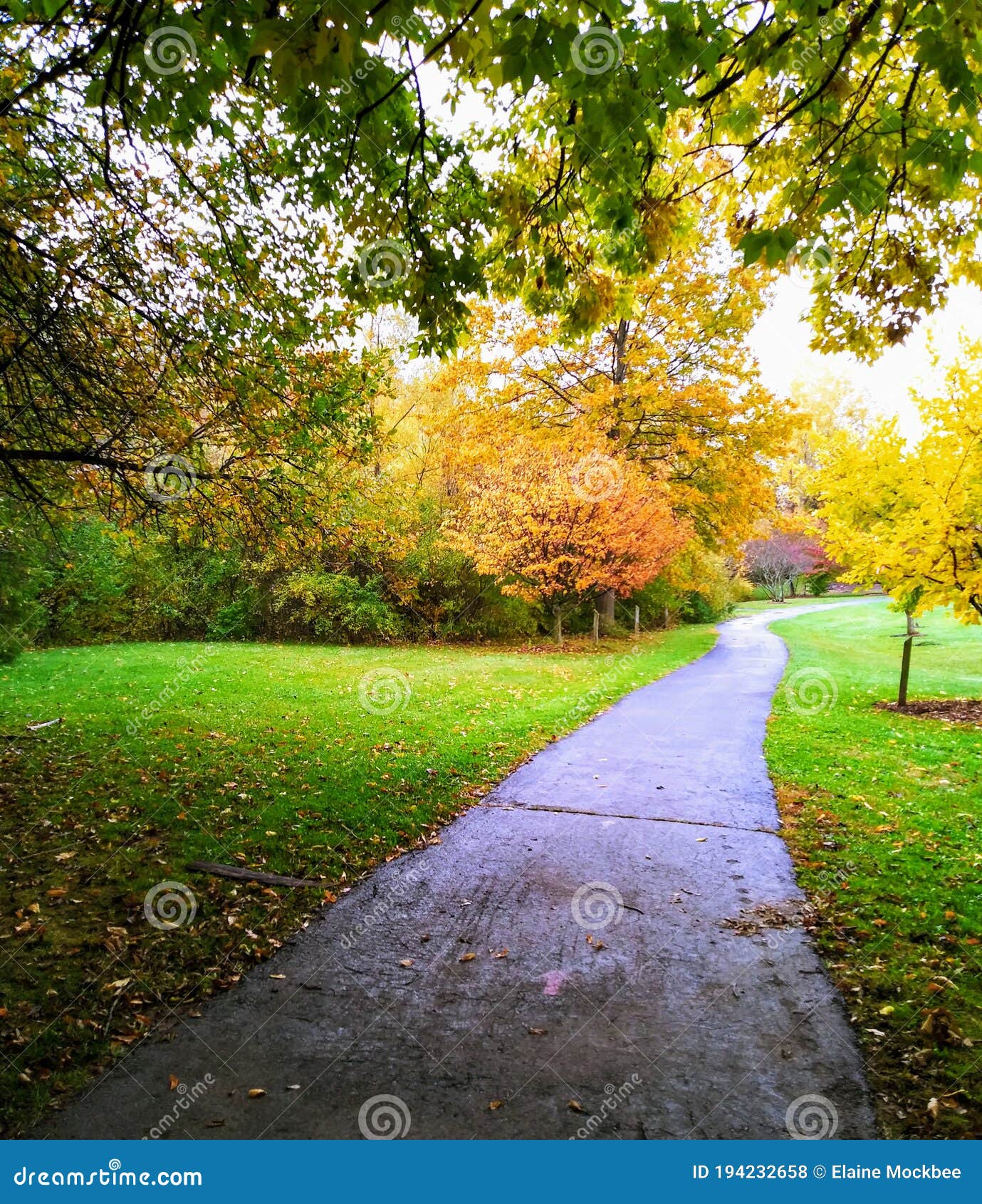 Concrete Walkway in Autumn Park Stock Photo - Image of lawn, branch ...
