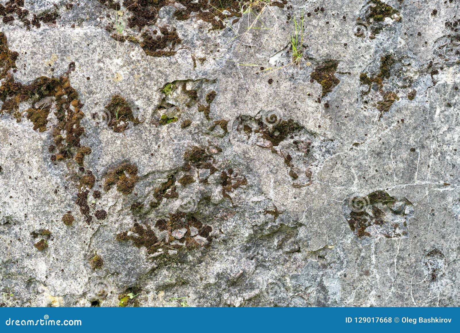 The Texture Of The Destroyed Concrete Slab With Rusty Reinforcement ...