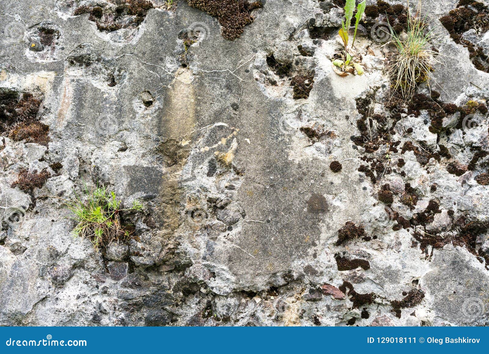 Concrete Wall As a Texture Destroyed by Time. Stock Image - Image of ...