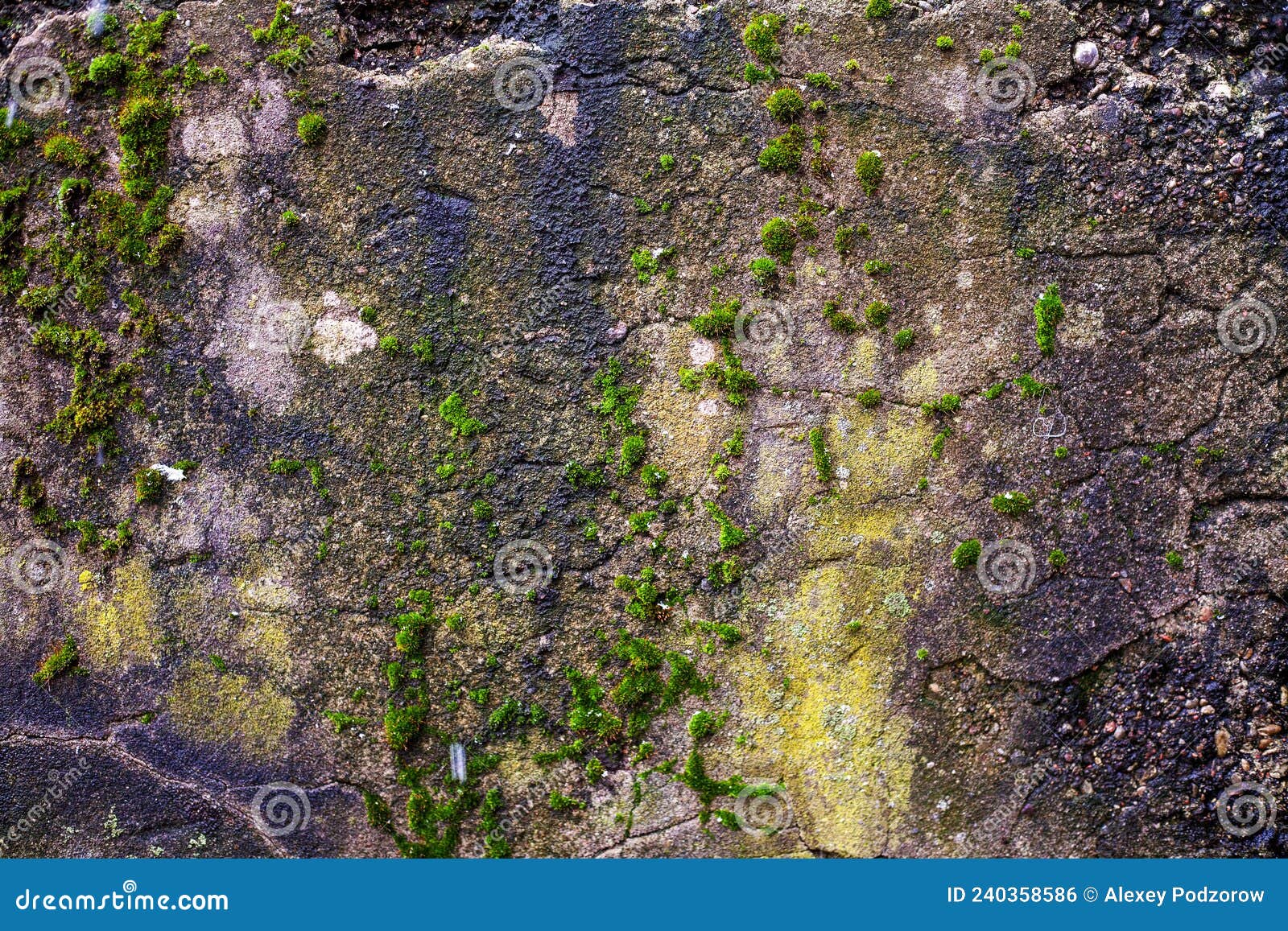Concrete Wall Covered with Green Moss Stock Photo - Image of covered ...