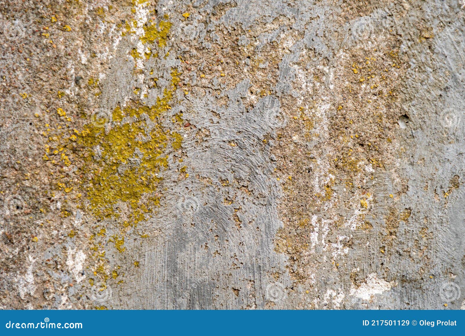 Concrete Wall Covered with Moss, Background for Designer. Rough Stone ...