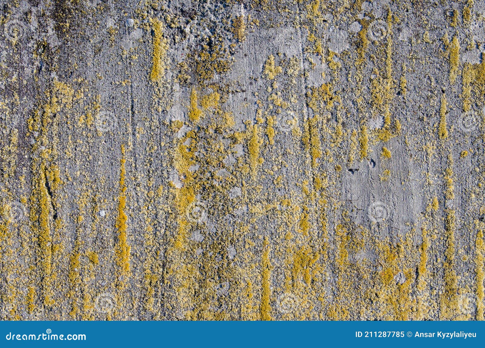 Concrete Wall Covered with Moss Texture Stock Image - Image of green ...