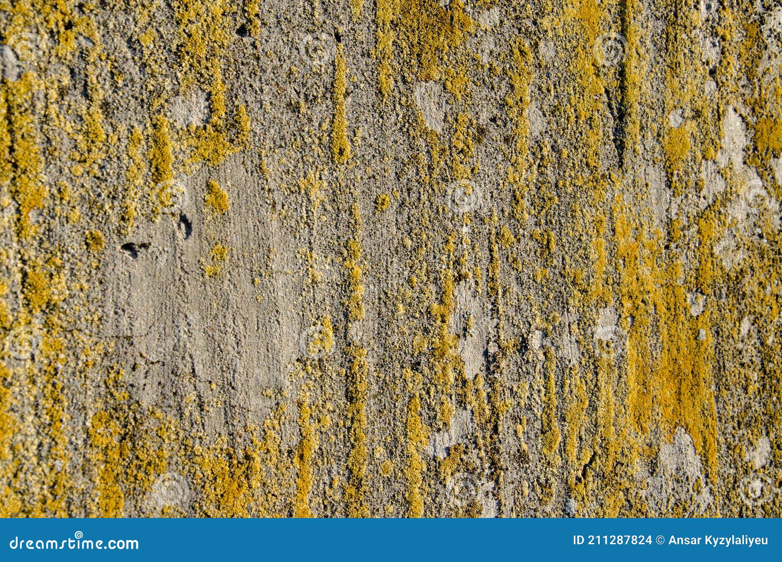 Concrete Wall Covered with Moss Texture Stock Photo - Image of outdoor ...
