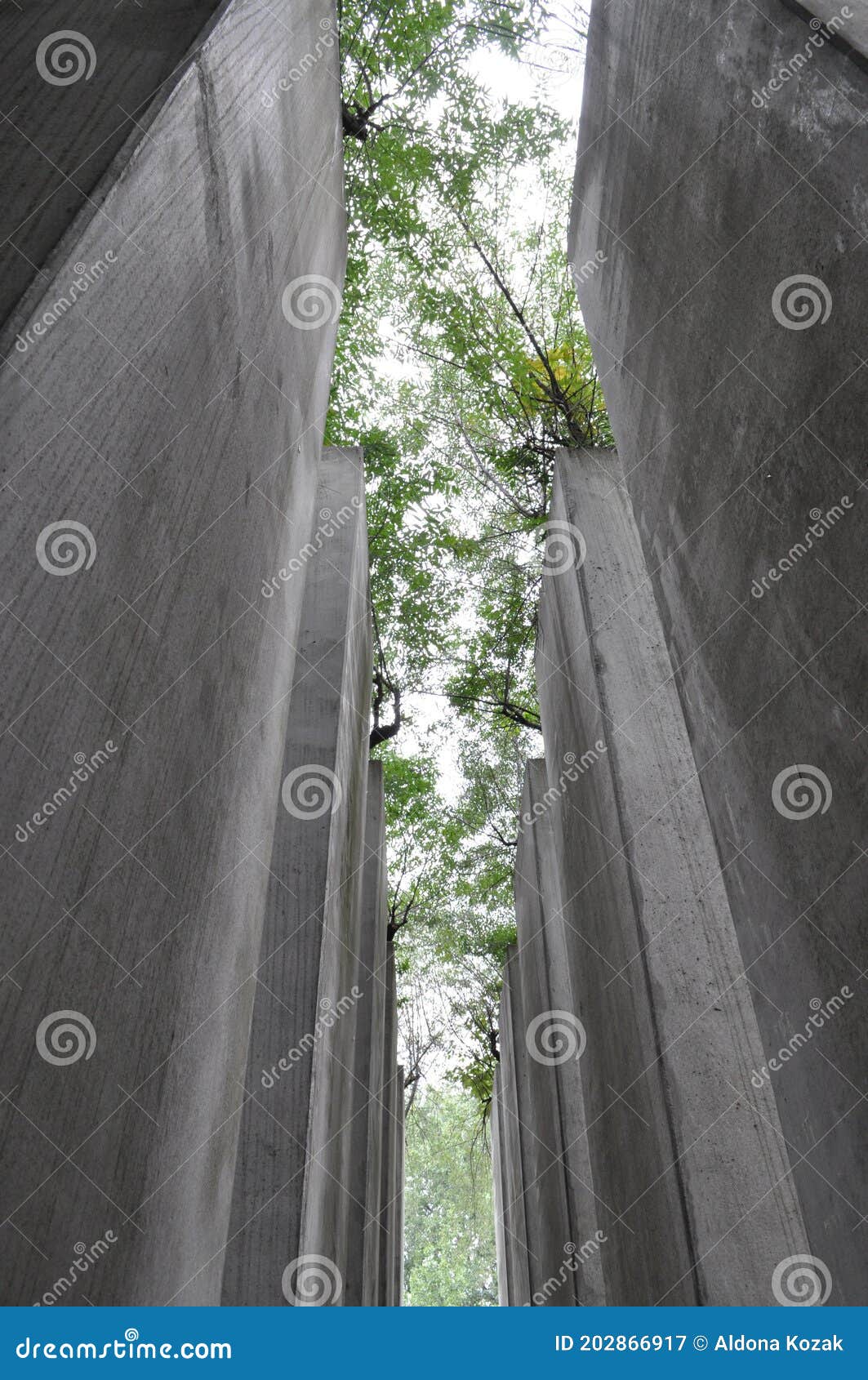 Concrete Wall Facade Texture Gray Facade Close-up Alley Stock Image ...