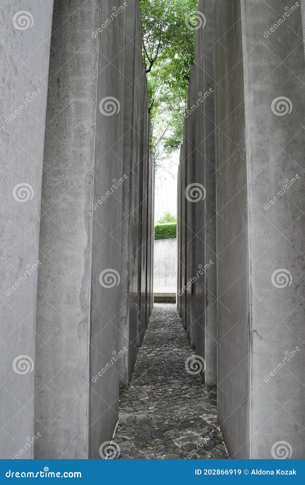 Concrete Wall Facade Texture Gray Facade Close-up Alley Stock Image ...
