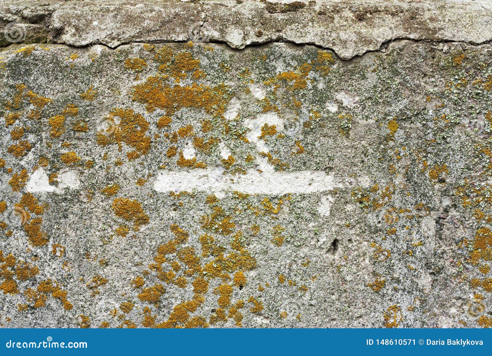 Concrete Wall Fragment. Old Dirty Cement Texture with Defects Stock ...