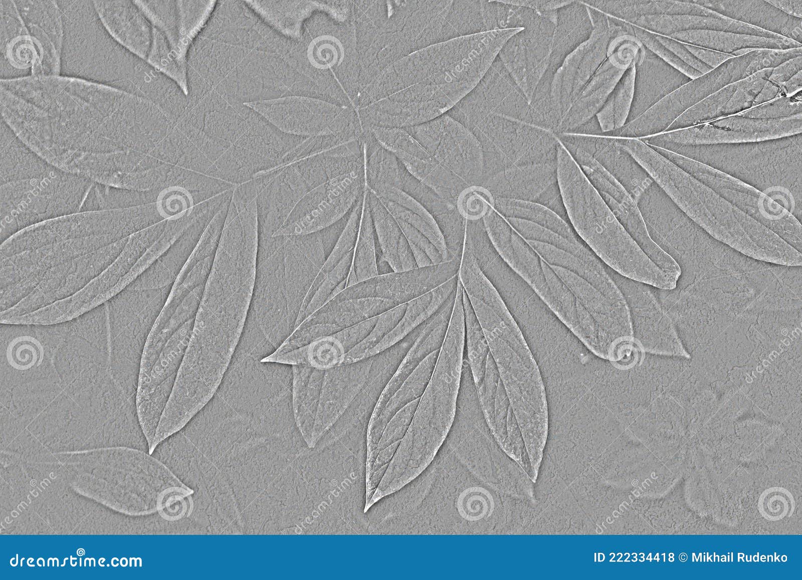 Concrete Wall with Gray Leaf Texture, Abstract Simple Backgrounds Stock ...