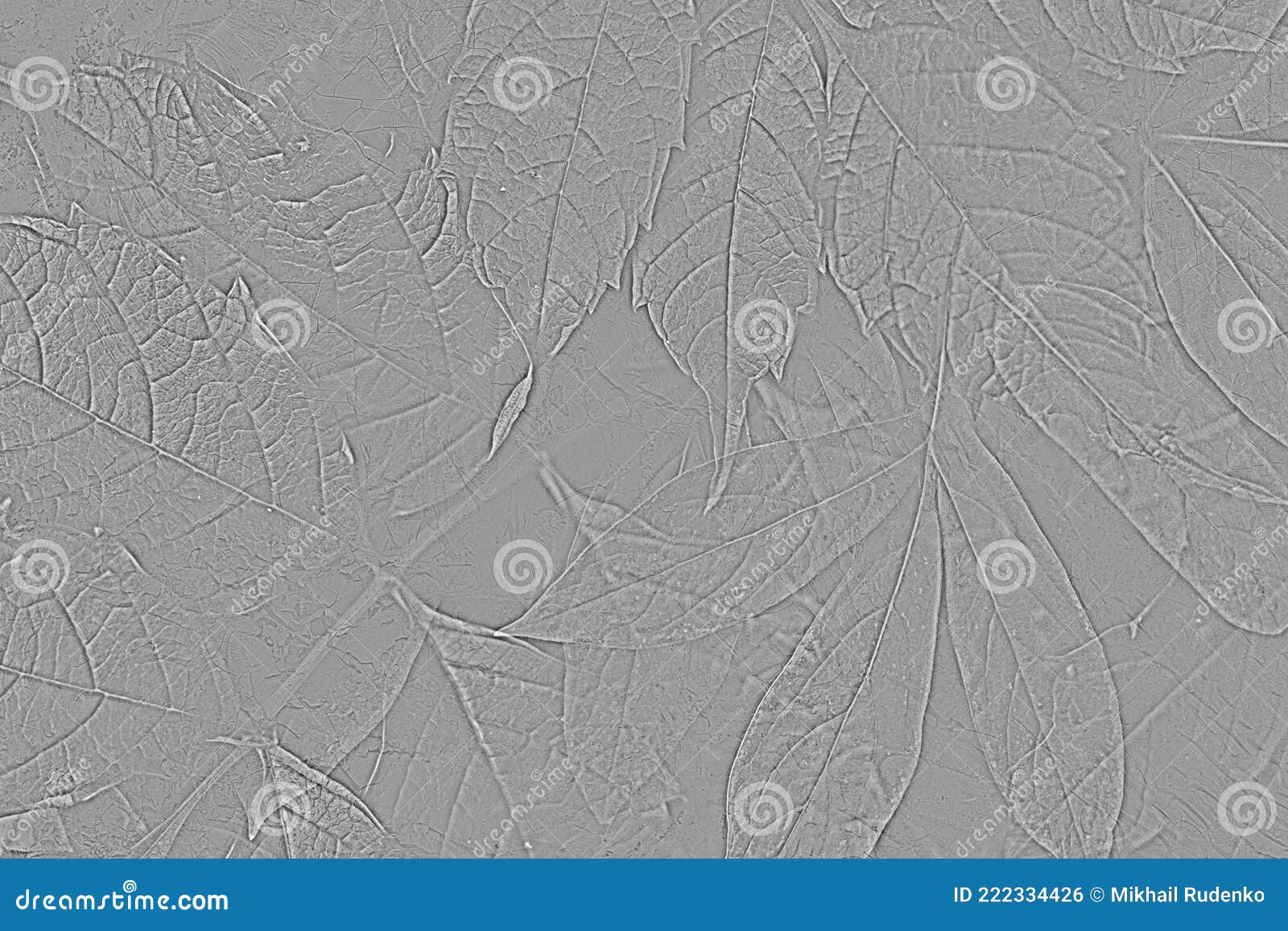 Concrete Wall with Gray Leaf Texture, Abstract Simple Backgrounds Stock ...