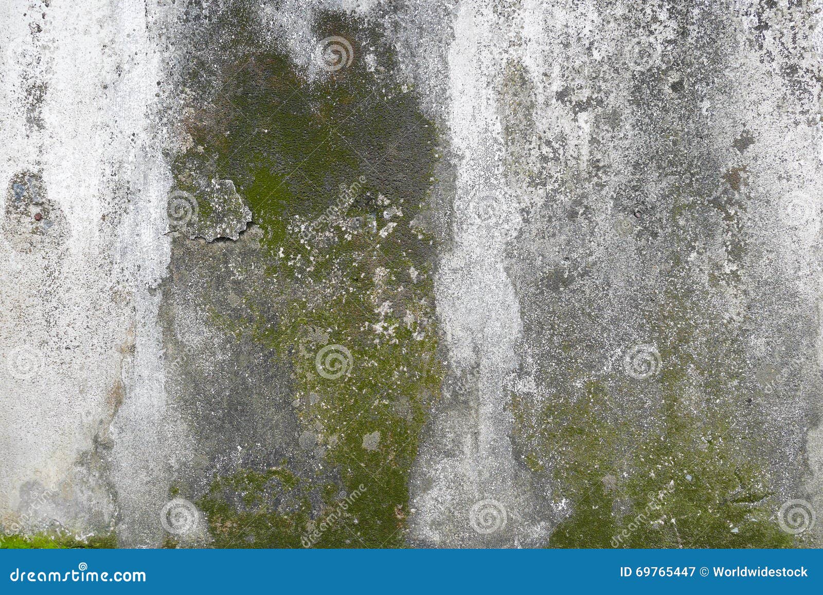 Concrete Wall with Grunge Texture and Moss Green Algae Stock Image ...