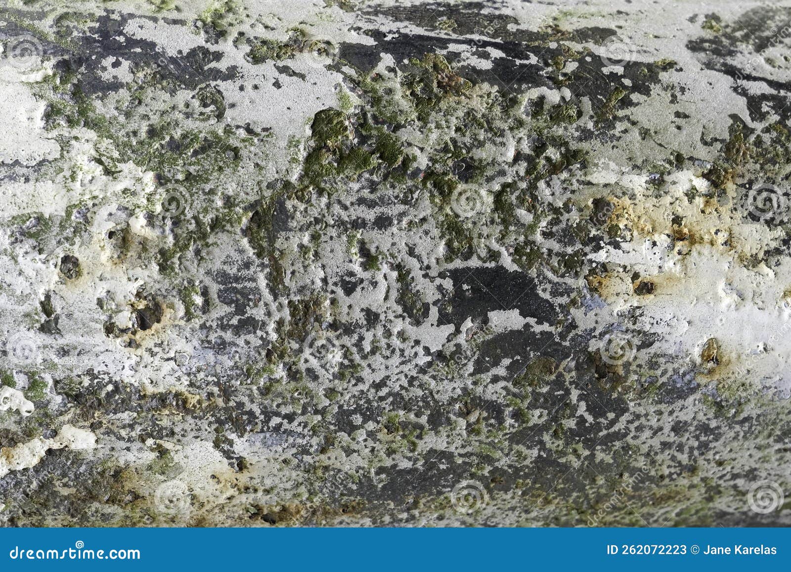 Concrete Wall with Mildew Wallpaper and Background Texture Stock Image ...