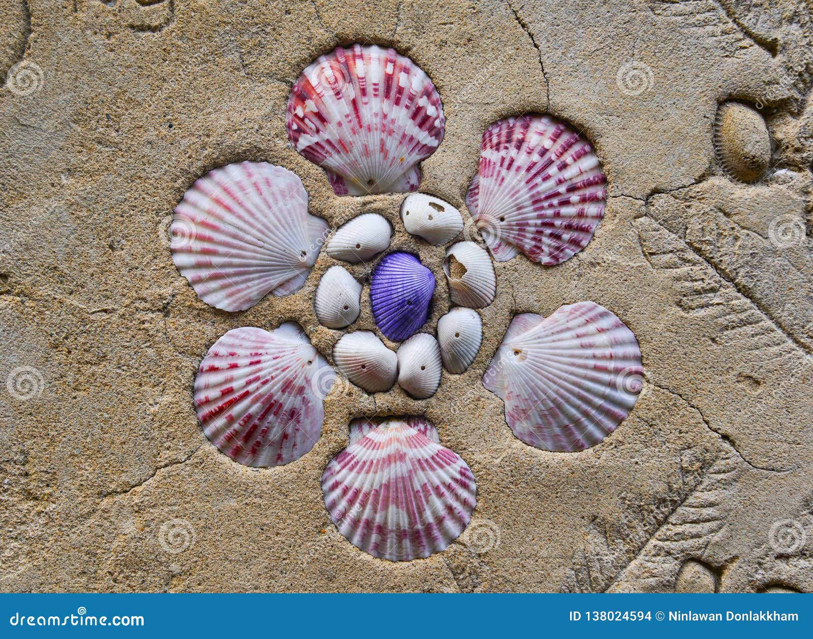 Concrete Wall with Shell Decoration Stock Photo - Image of beach ...
