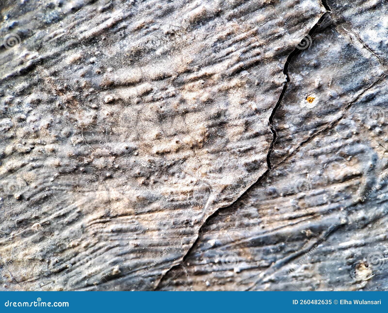 Concrete Wall Texture Coarse Cement Background Gray Inside Blank for ...