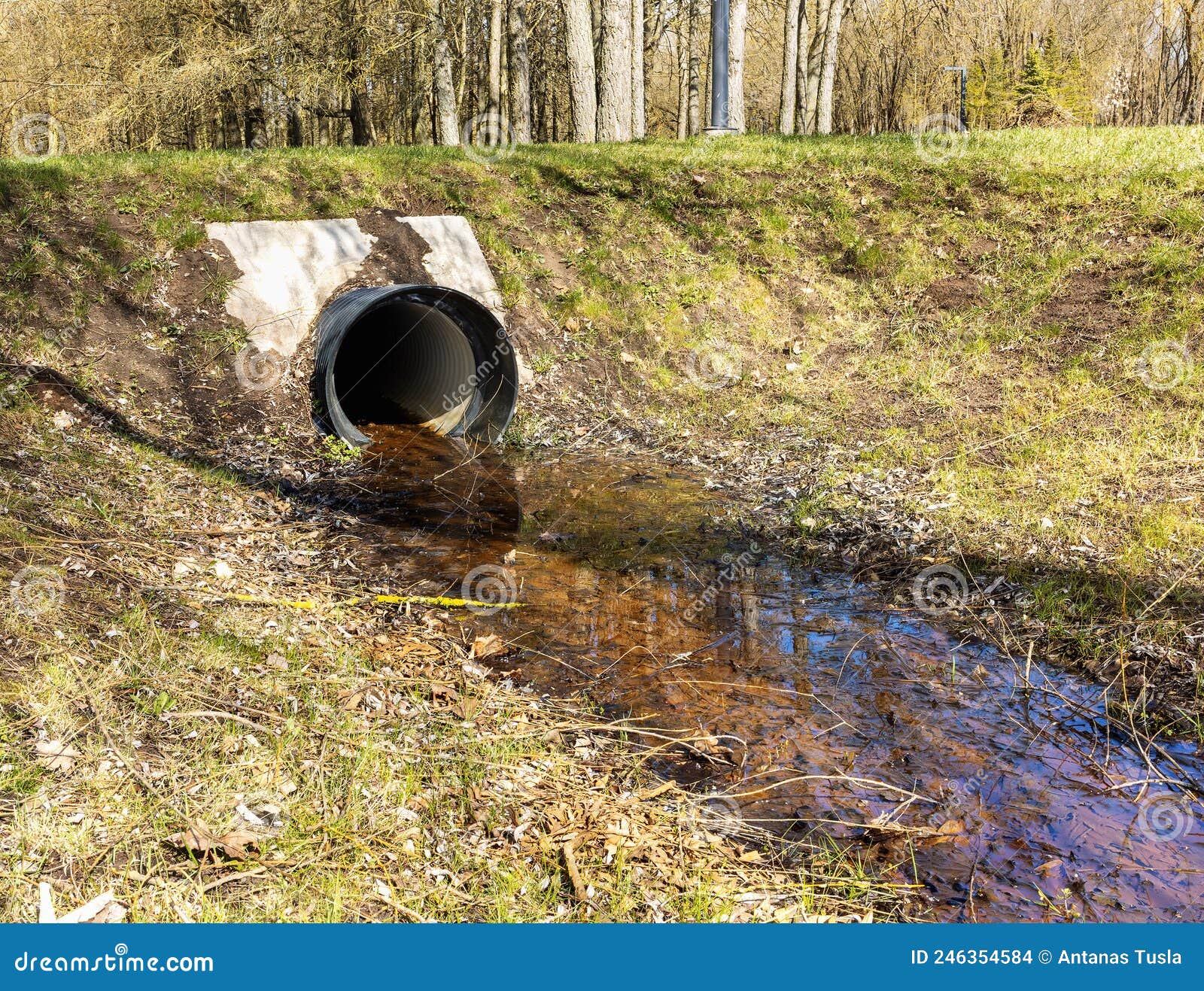 Water Passage Under the Road in the Park Stock Photo - Image of passage ...