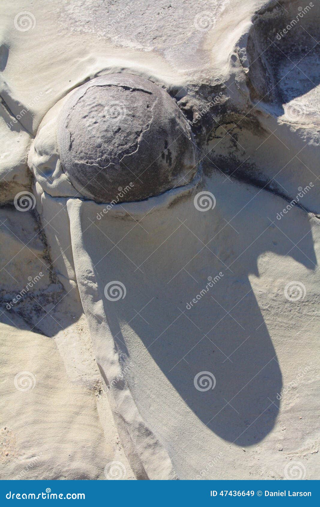 Concretion stock image. Image of beach, state, oregon - 47436649