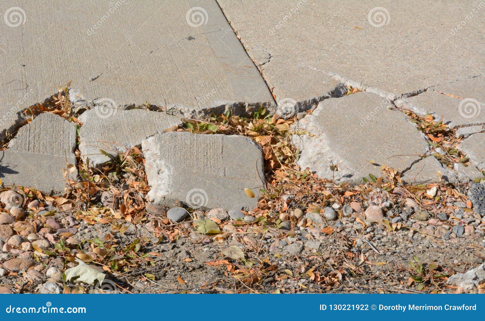 Concreto Quebrado Do Passeio No Outono Foto de Stock - Imagem de risco ...