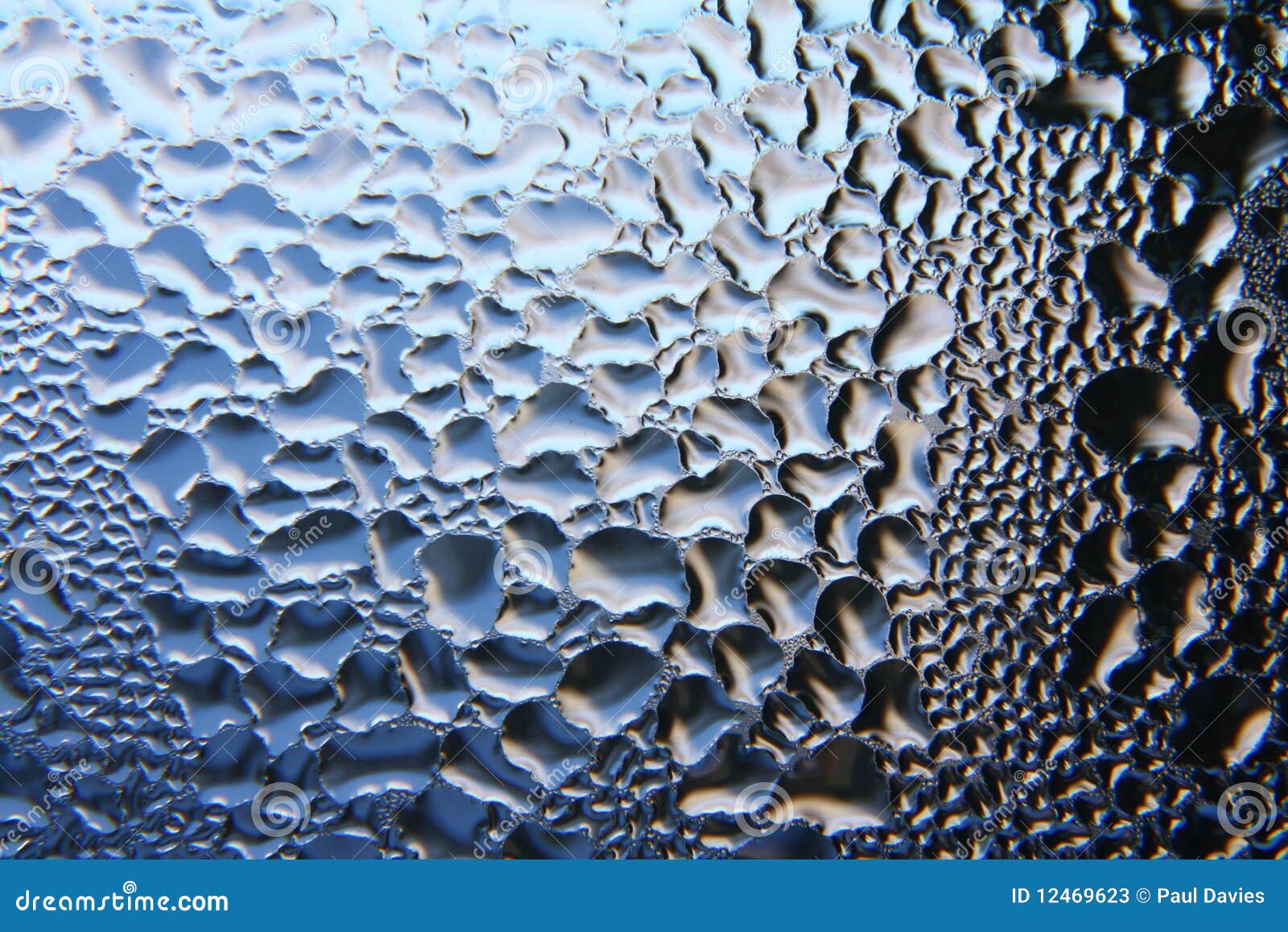 Condensation stock image. Image of natural, condensation - 12469623