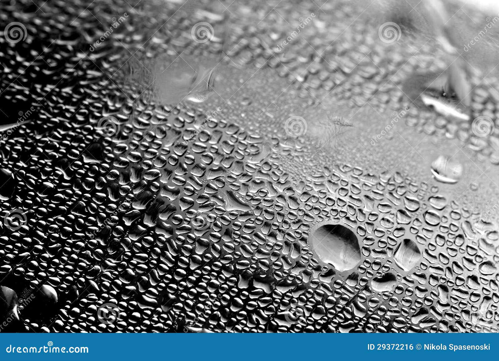 Condensation stock photo. Image of drops, texture, closeup - 29372216