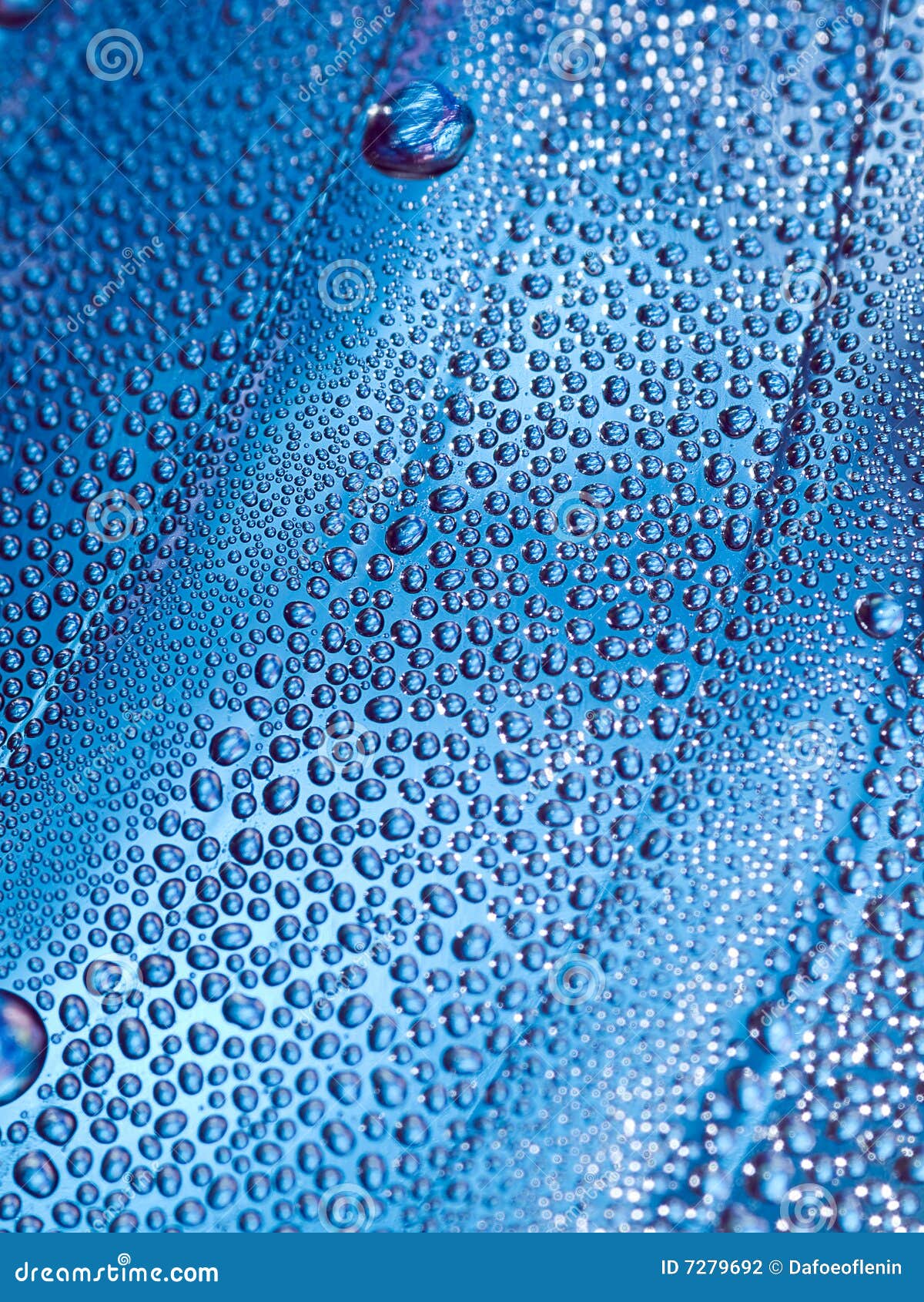 Condensation stock photo. Image of small, liquid, water - 7279692