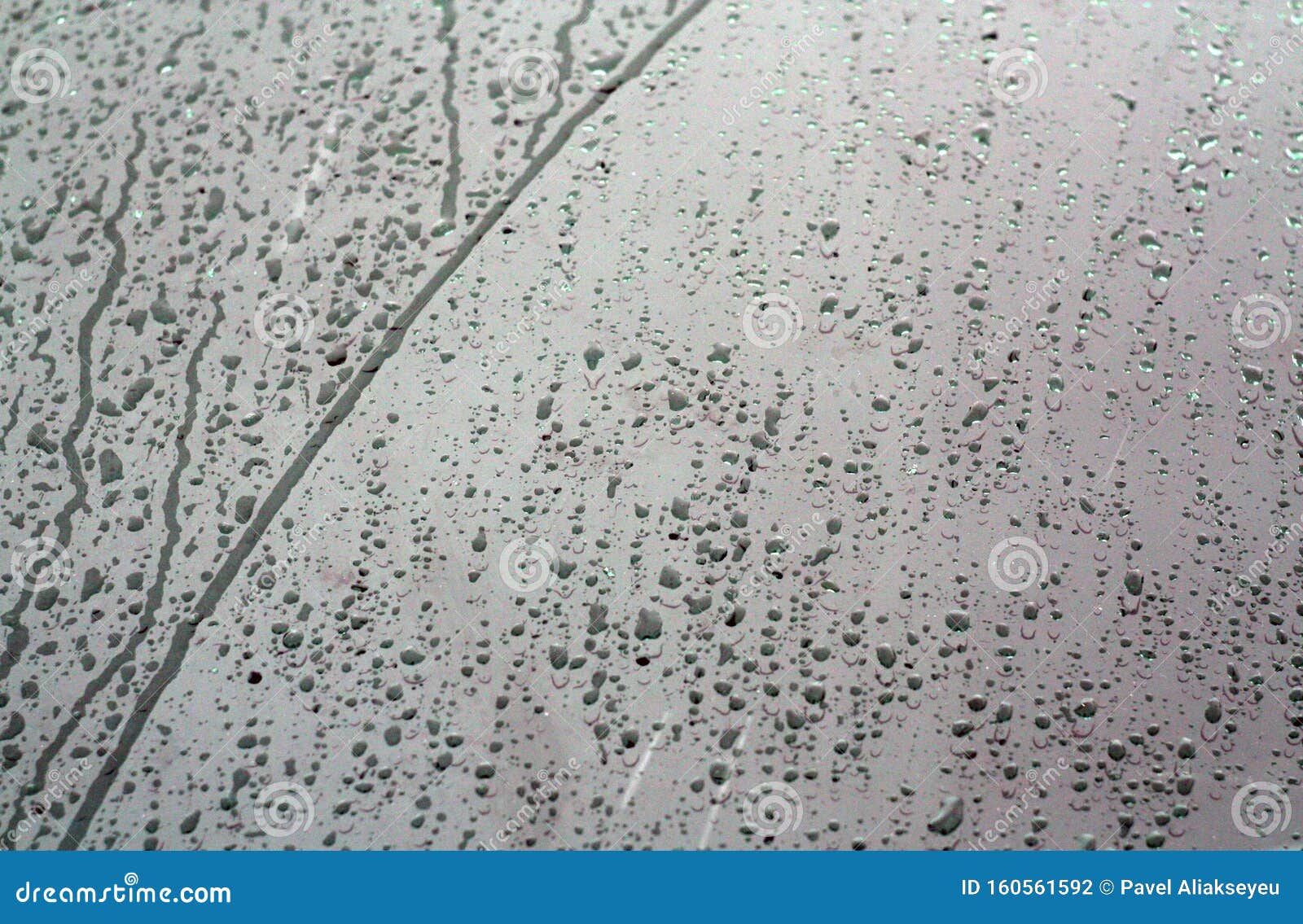 Condensation drops texture stock photo. Image of isolated - 160561592
