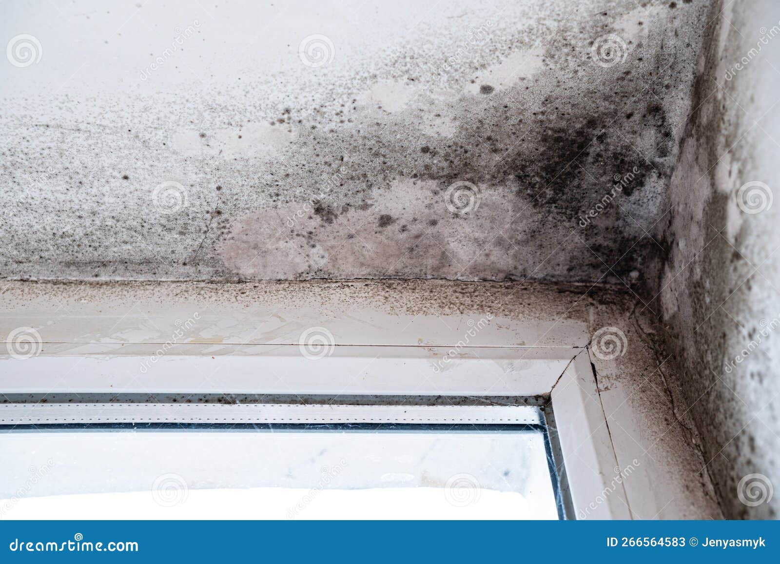 Condensation on the Wall, in the Form of Black Spots. Mold Growth on ...