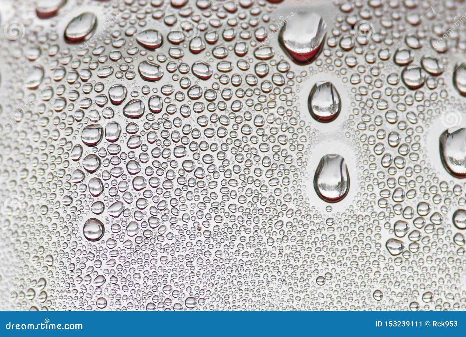 Condensation, Water Drops and the Patterns of Life Stock Image - Image ...