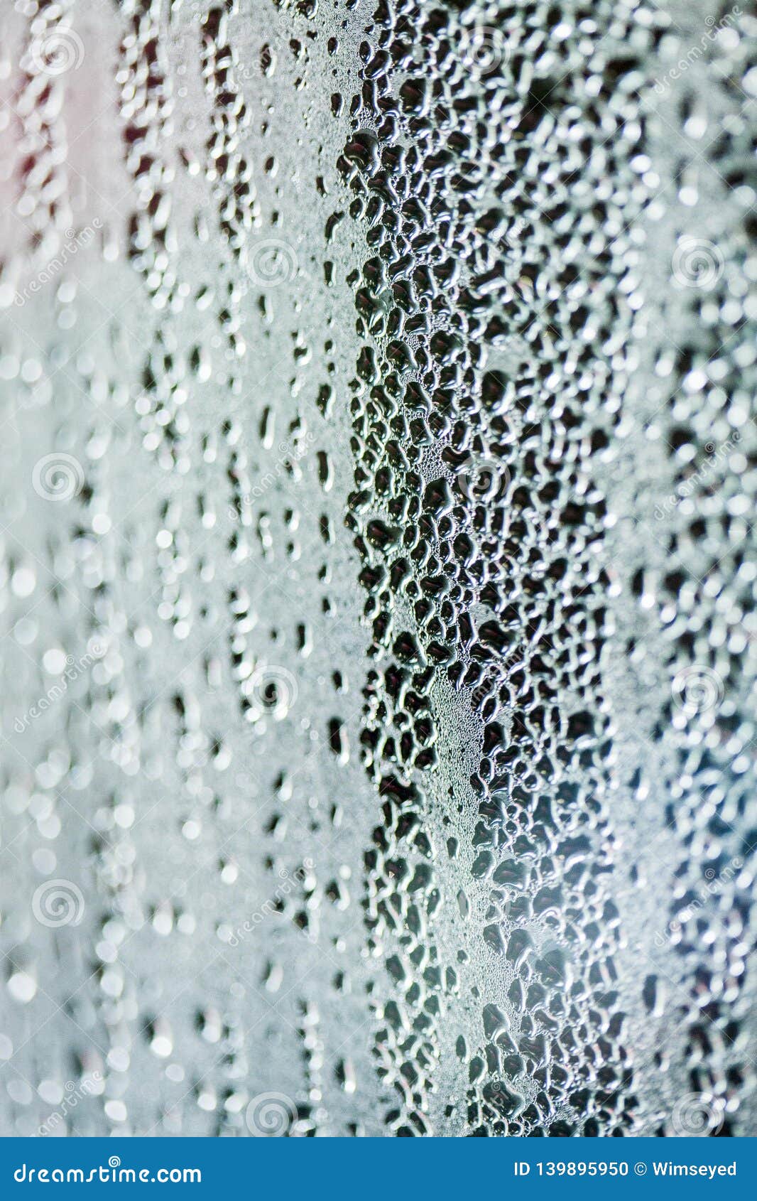 Condensation on a Window, Winter Morning Stock Photo - Image of detail ...