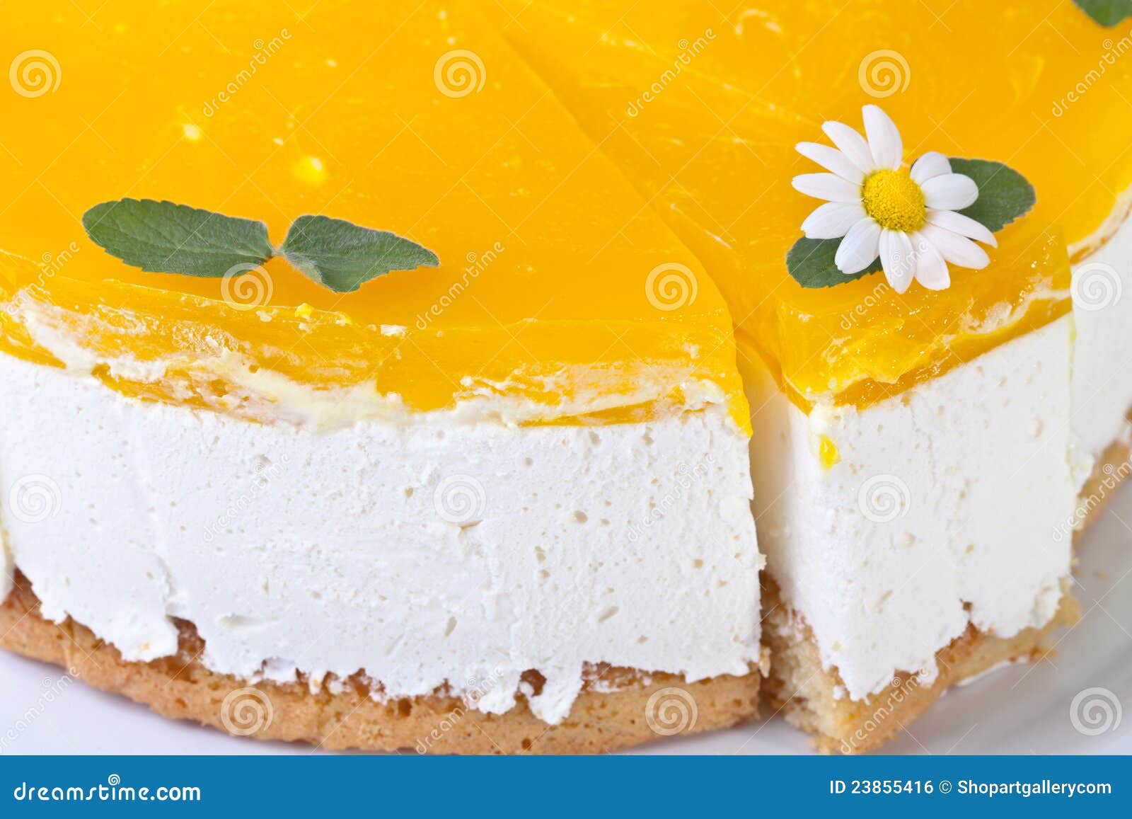 Condensed Milk Cake stock photo. Image of cream, custard - 23855416